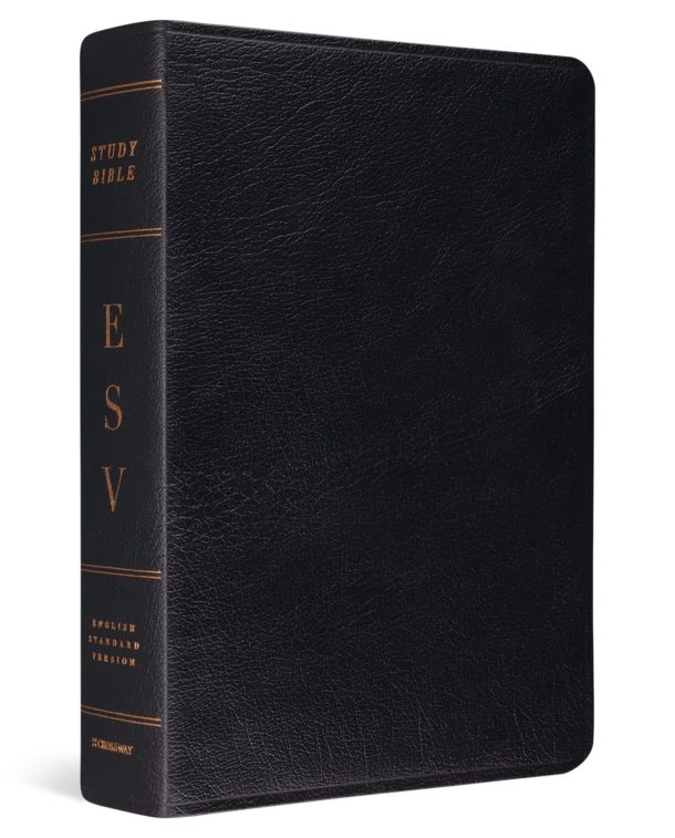The Best Study Bibles: 7 All-Around Great Ones - LivingPraying.com