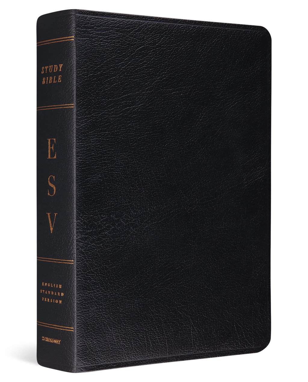 The Best Study Bibles: 7 All-Around Great Ones - LivingPraying.com