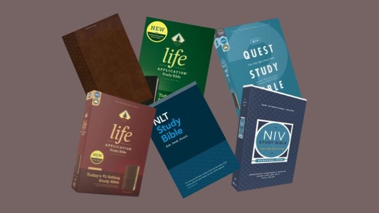 Best Study Bibles For Beginners:Top 6 and More! - LivingPraying.com
