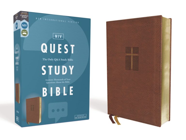 Best Study Bibles For Beginners:Top 6 and More! - LivingPraying.com