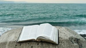 What Are the Best Bibles for Beginners? A Guide for New Believers (2025 ...